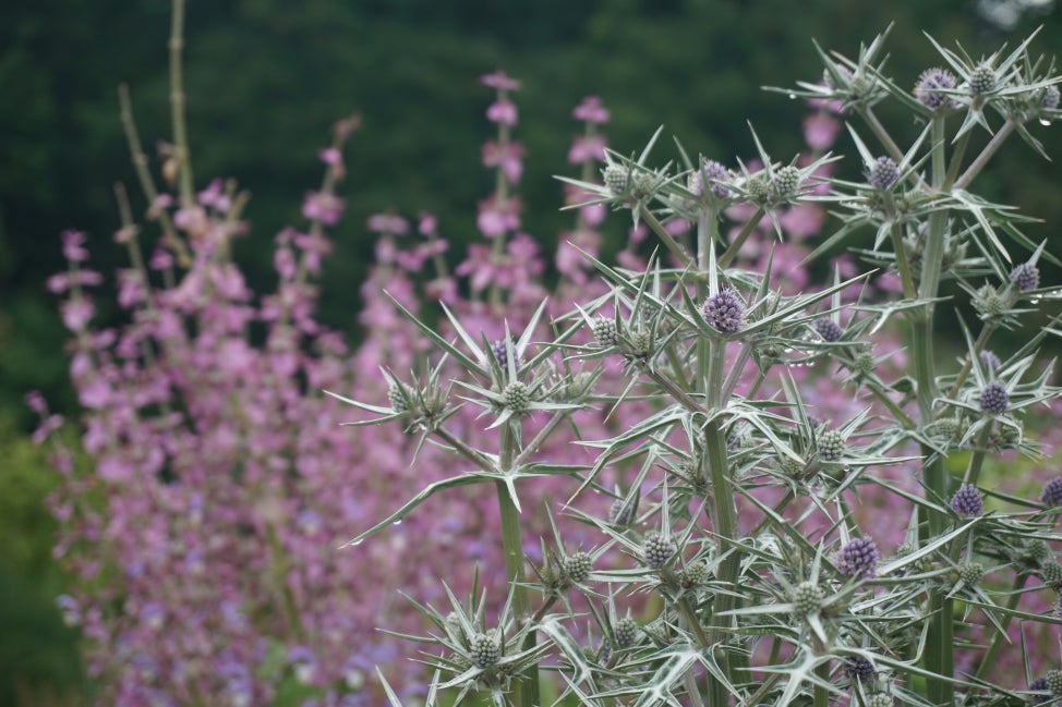 Beyond the Morris: Exploring Gardens in Scandinavia | Morris Arboretum ...