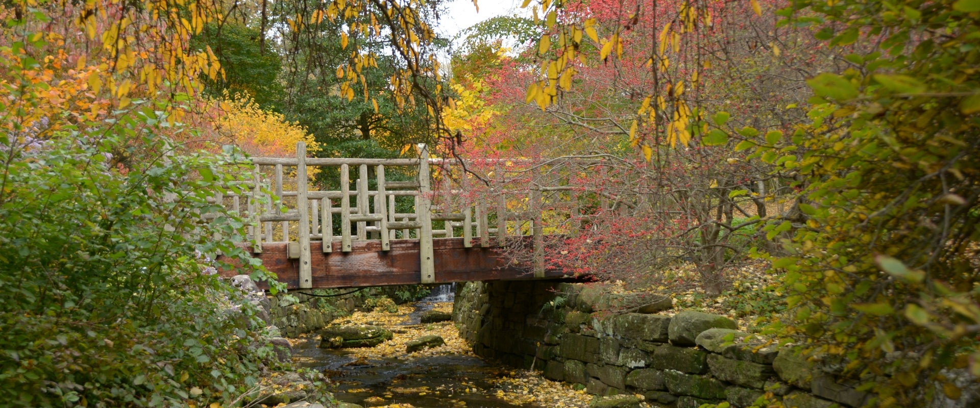 Morris Arboretum & Gardens